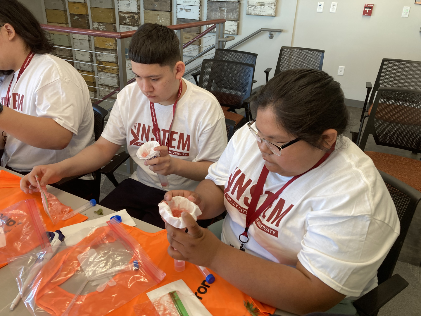 INSTEM Academy sessions conclude for summer | Valley City State University