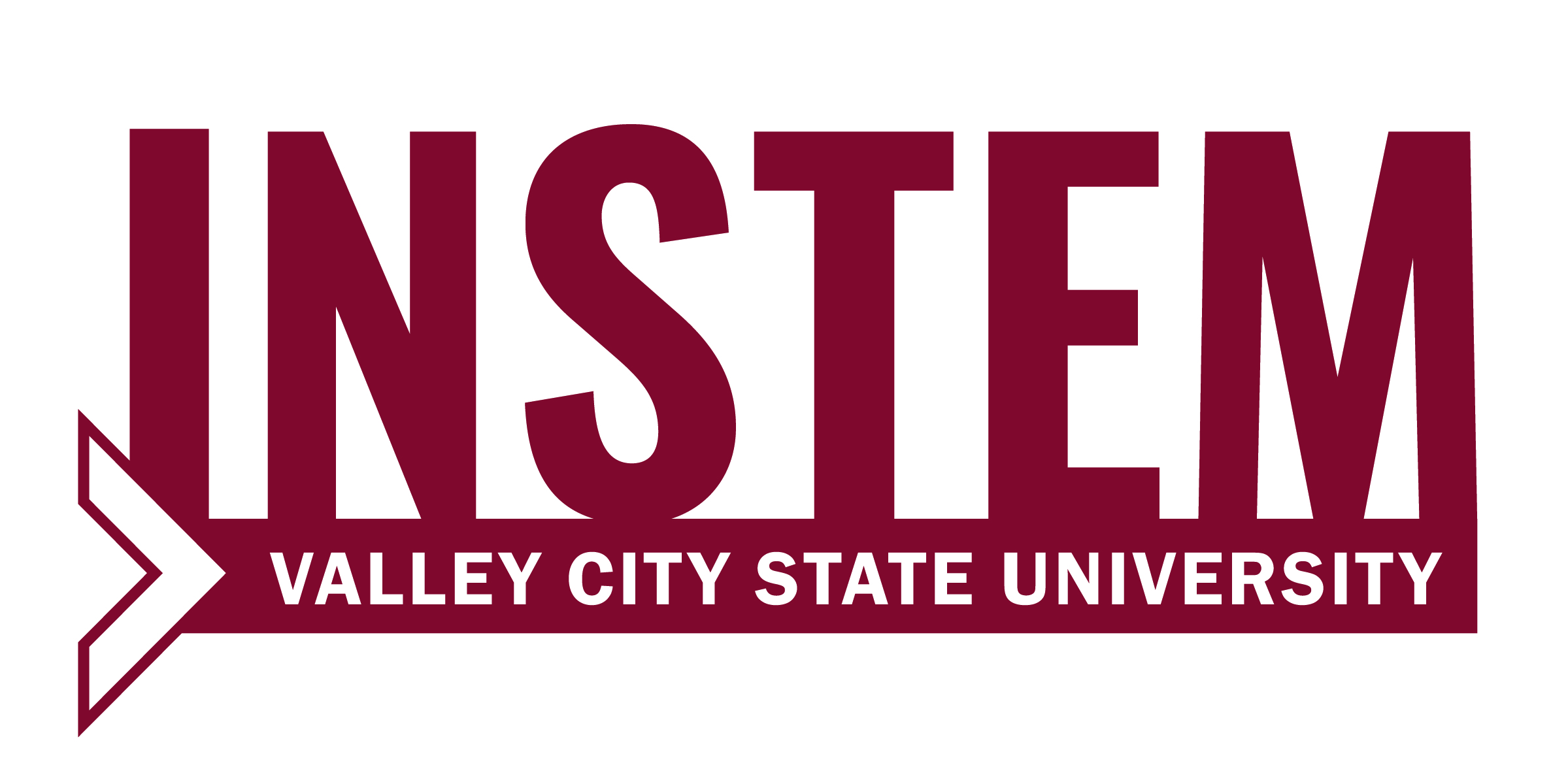 STEM Academy for Native American Students | VCSU